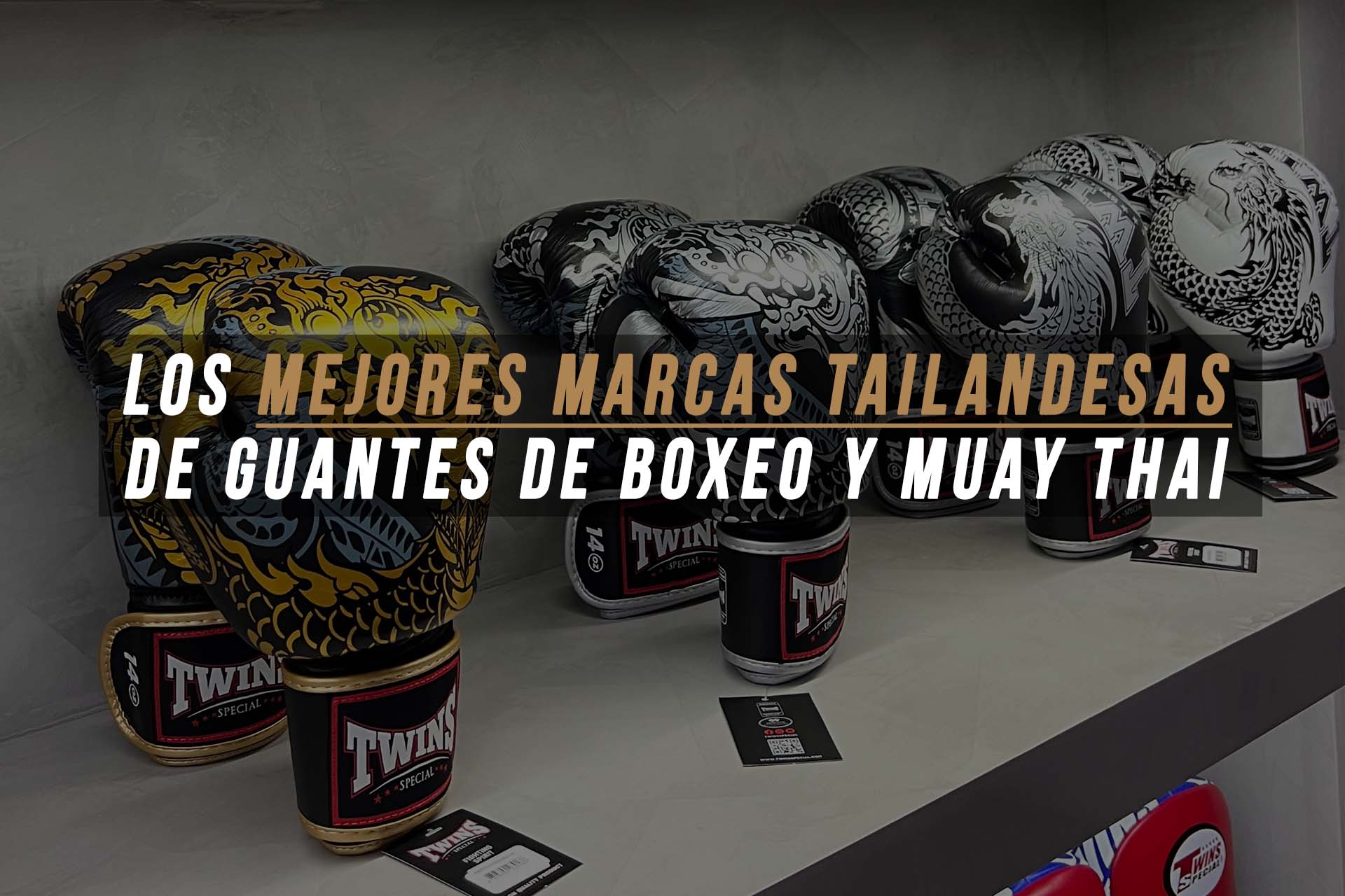 Las Mejores Marcas Tailandesas de Guantes de Boxeo y Muay Thai – MMA ...